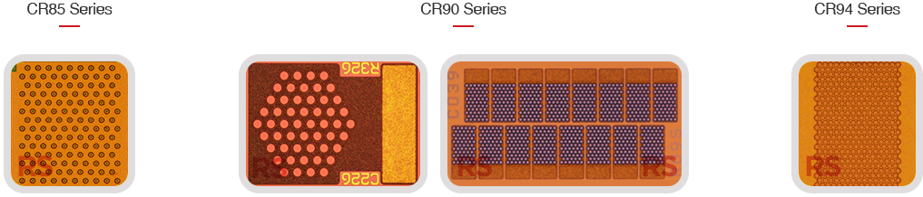 Automotive Certified VCSEL-Raysees